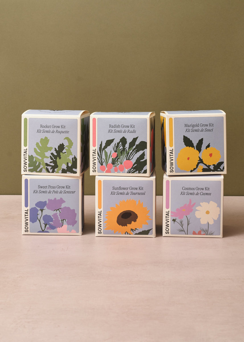 Rocket Seed Grow Kit – The Hackney Draper